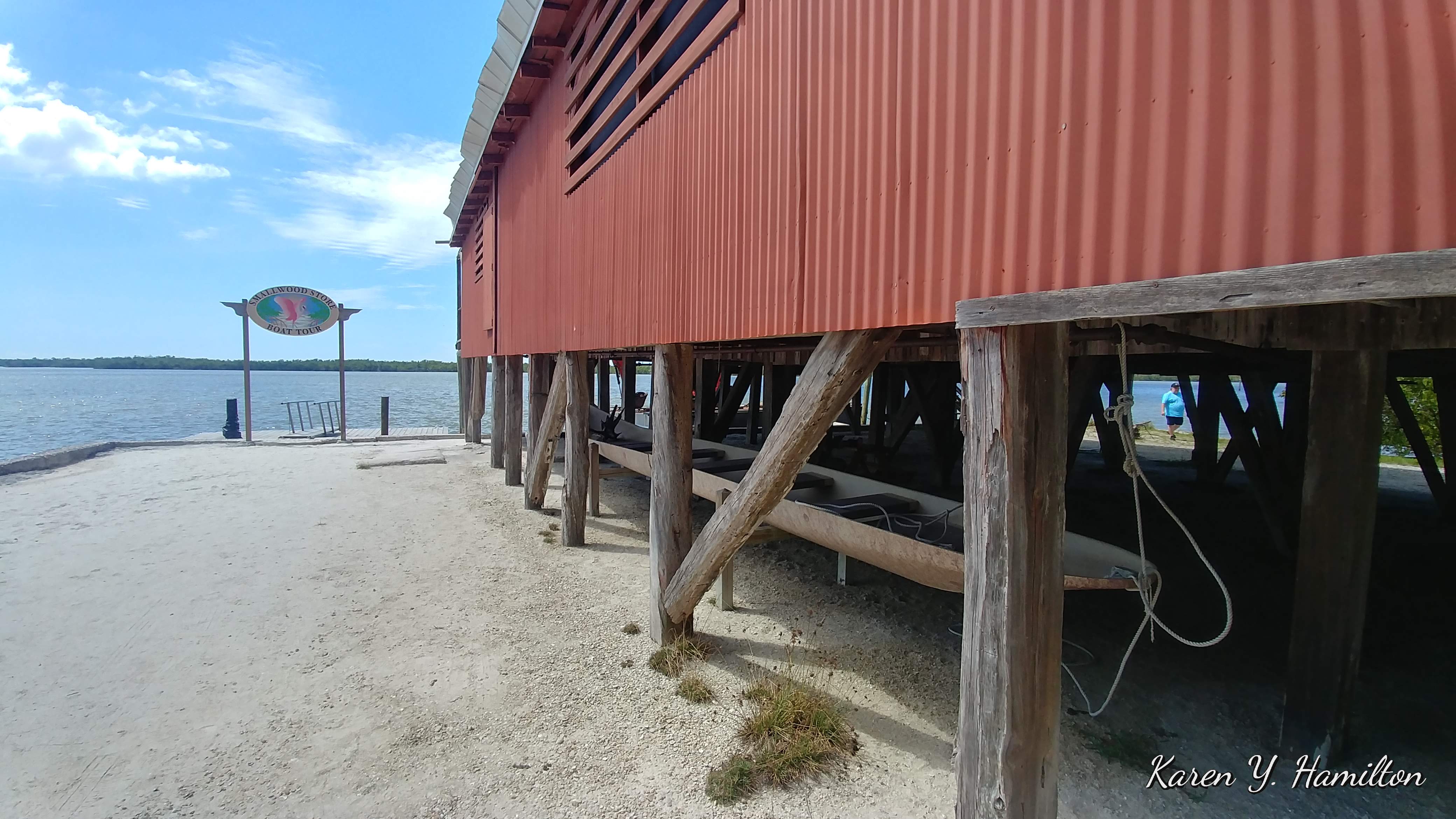 The true story of the Hamilton family in Killing Mr. Watson – Exploring ...