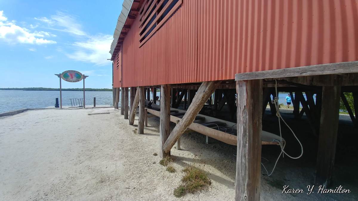 The true story of the Hamilton family in Killing Mr. Watson – Exploring ...