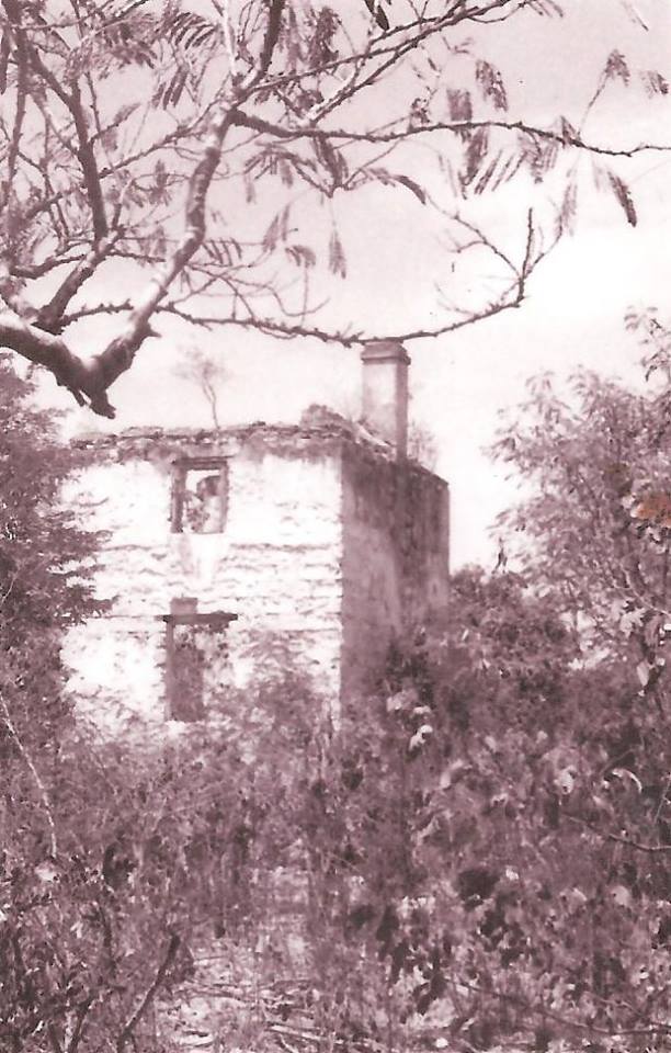 Alexander George KNOWLES – Exploring Florida History