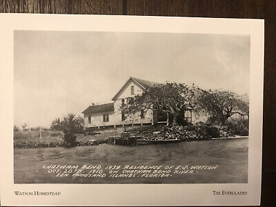 AMBUSH AT CHOKOLOSKEE: The Murder of E. J. Watson – Exploring Florida ...