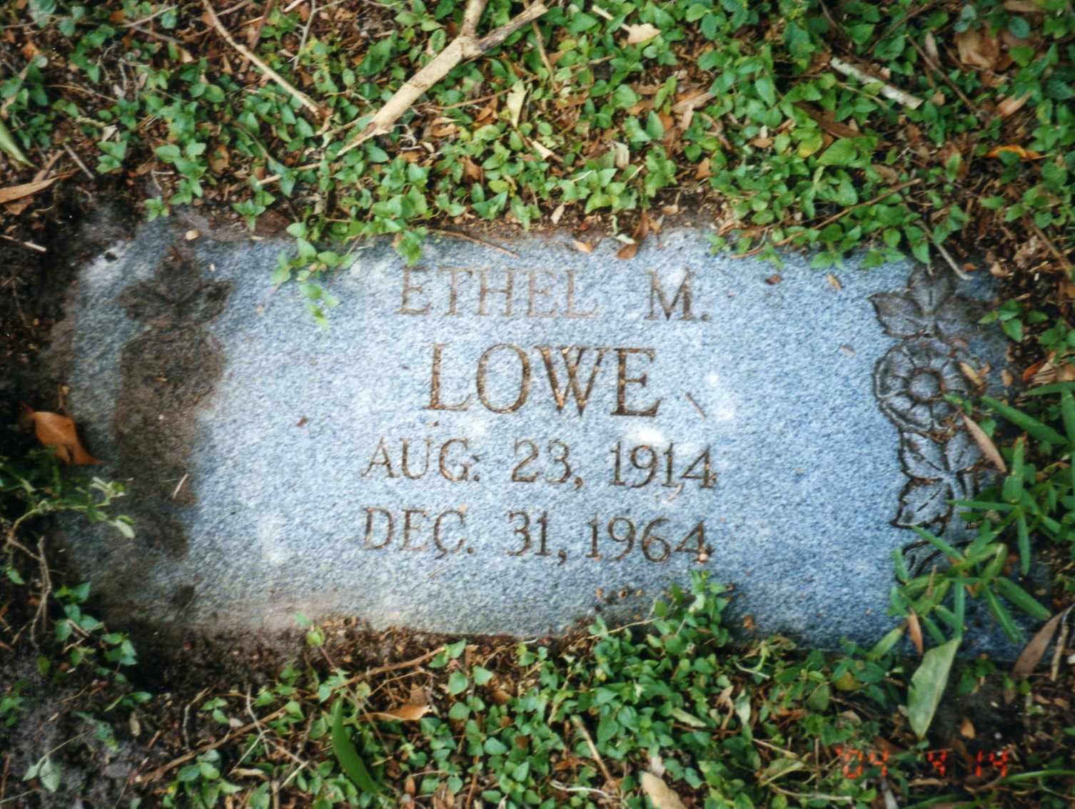 Ethel Madelyn Hamilton – Exploring Florida History